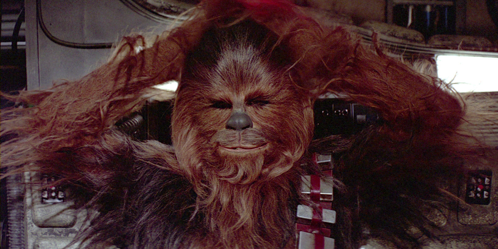 Chao con el panda: Ahora hay que buscar a Chewbacca — Rock&Pop