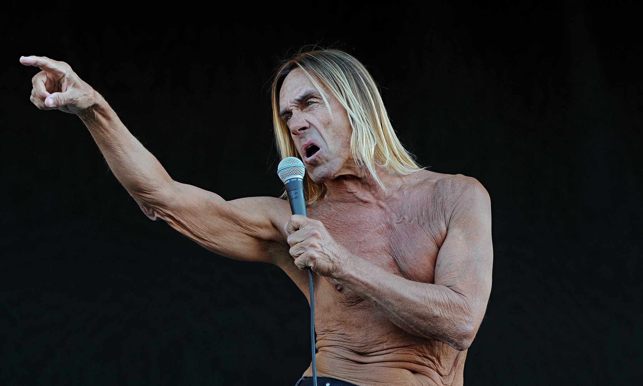 ¿El último disco de Iggy Pop? — Rock&Pop