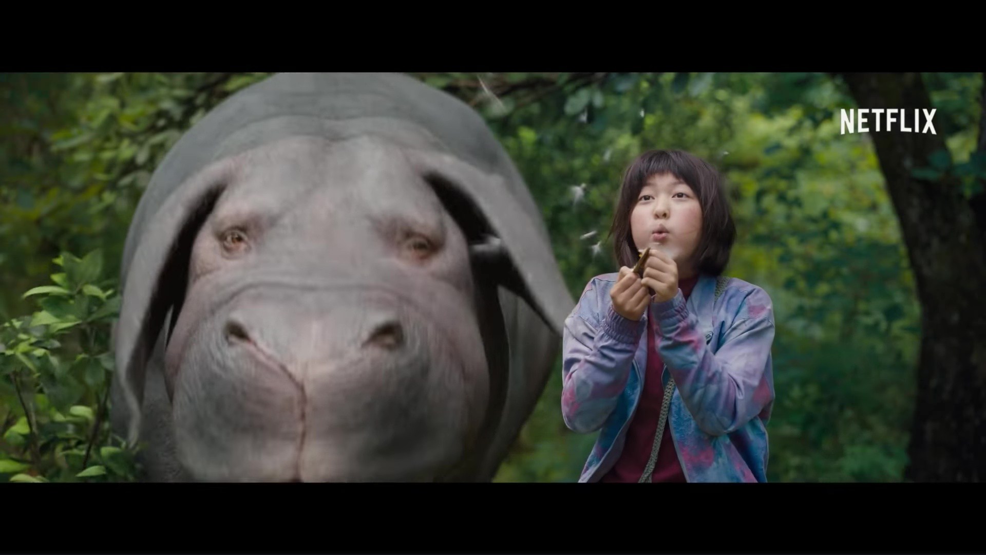 Mira el trailer oficial de Okja, la nueva película original de Netflix ...