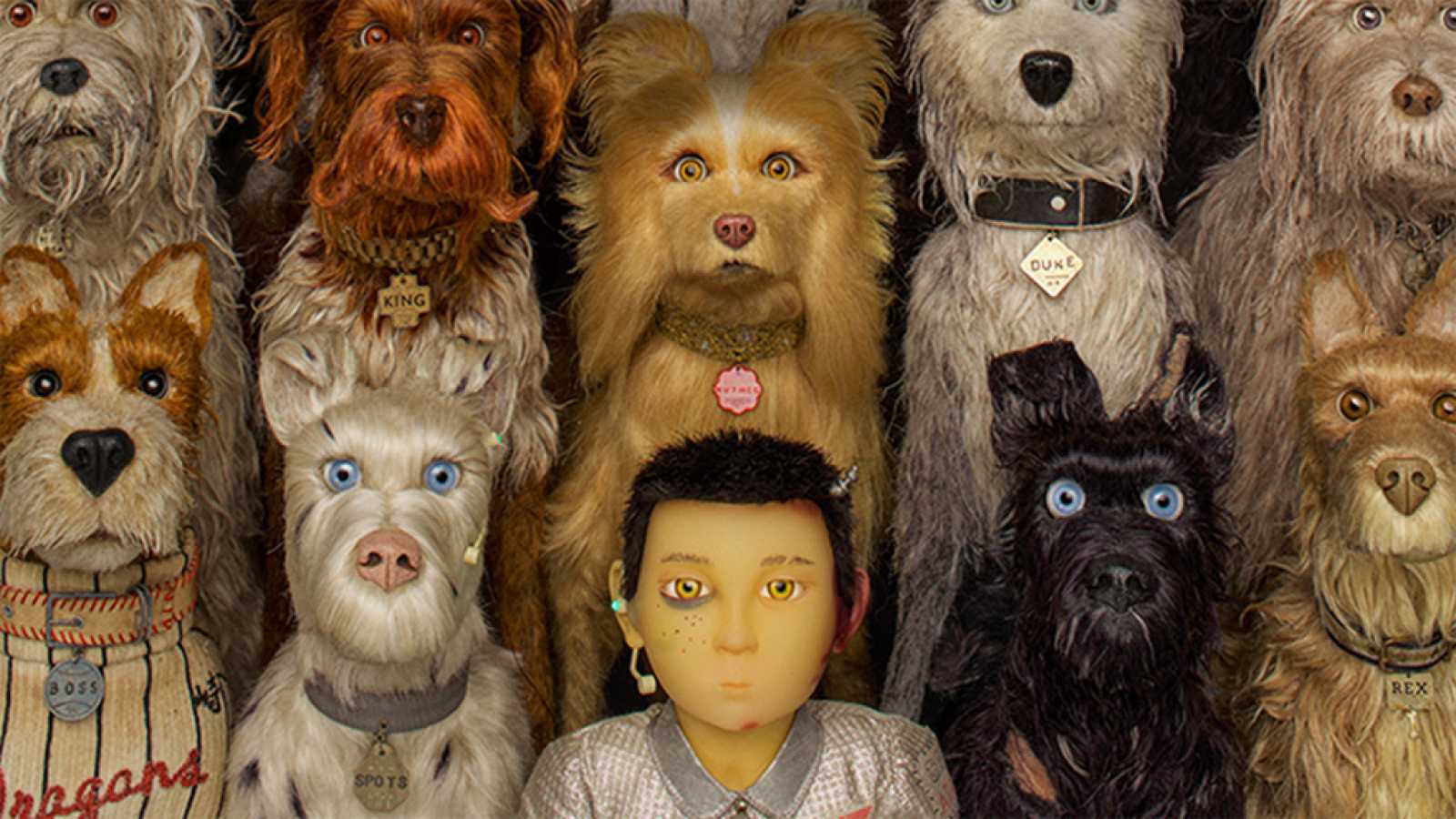 Isla de Perros: Lo nuevo de Wes Anderson que llega a Chile esta semana ...