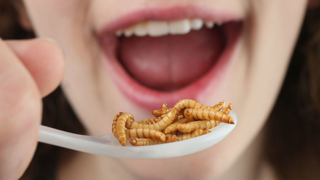 La ciencia lo dice: Comer insectos te hace más saludable — Rock&Pop