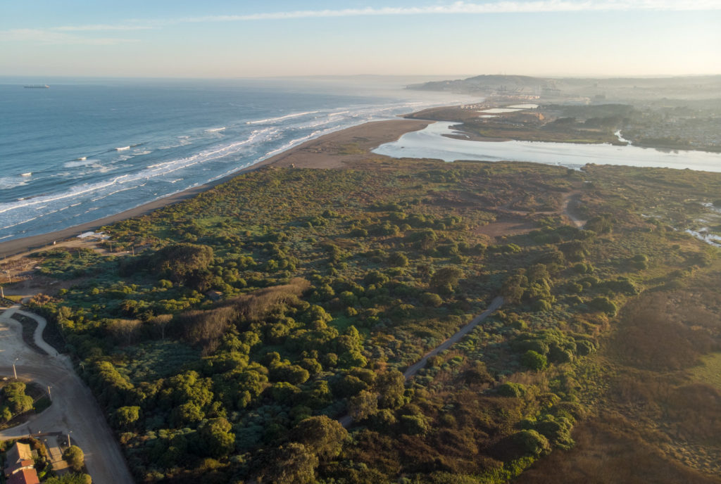 Humedal Río Maipo se convierte en Santuario de la Naturaleza — Rock&Pop