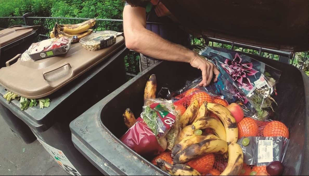 Senado aprobó proyecto que prohíbe a empresas botar alimentos que están ...