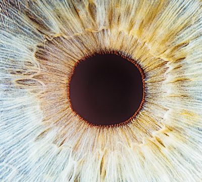 Premian en Alemania proyecto que promete curar la ceguera — Rock&Pop