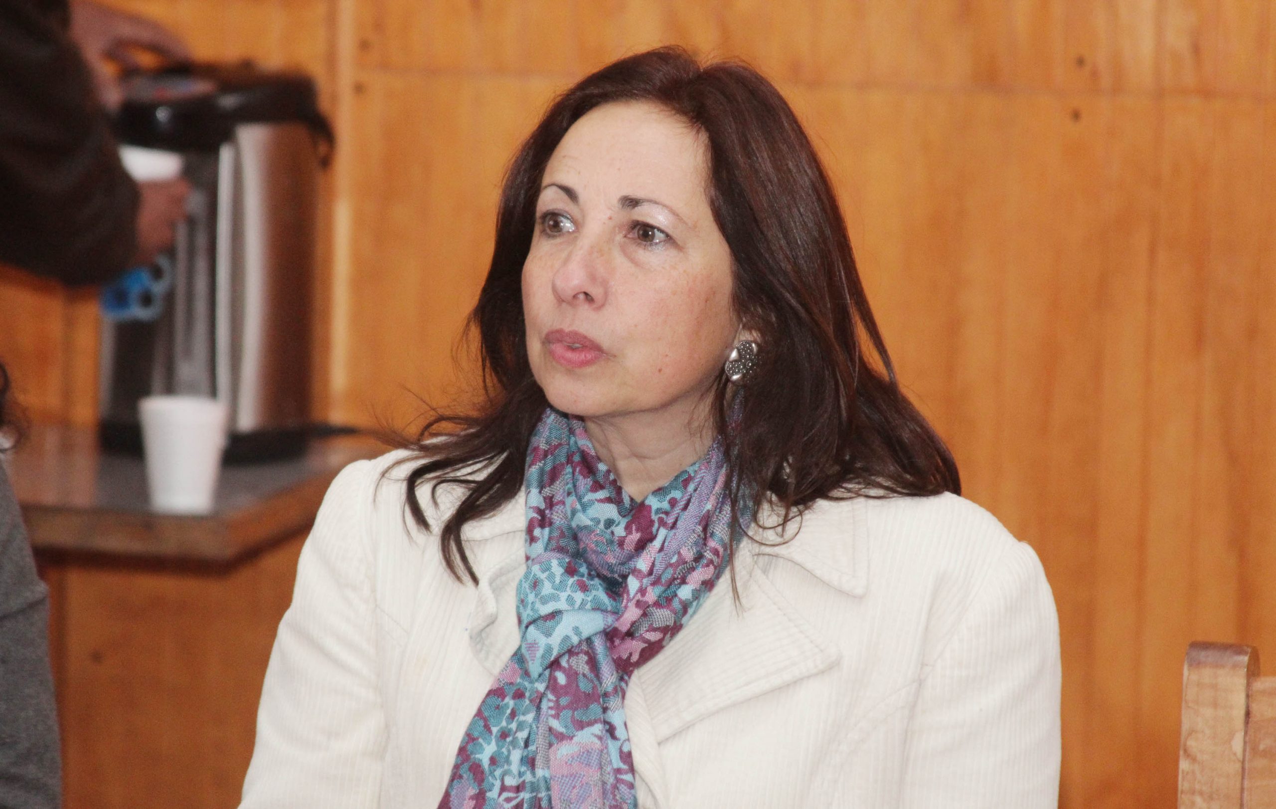 Diputada Sepúlveda e impuesto a súper ricos: "No se aprobó debido a ...