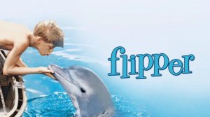 Flipper: el triste final del famoso delfín — Rock&Pop