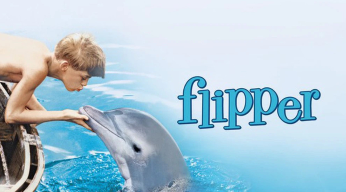 Flipper: el triste final del famoso delfín — Rock&Pop