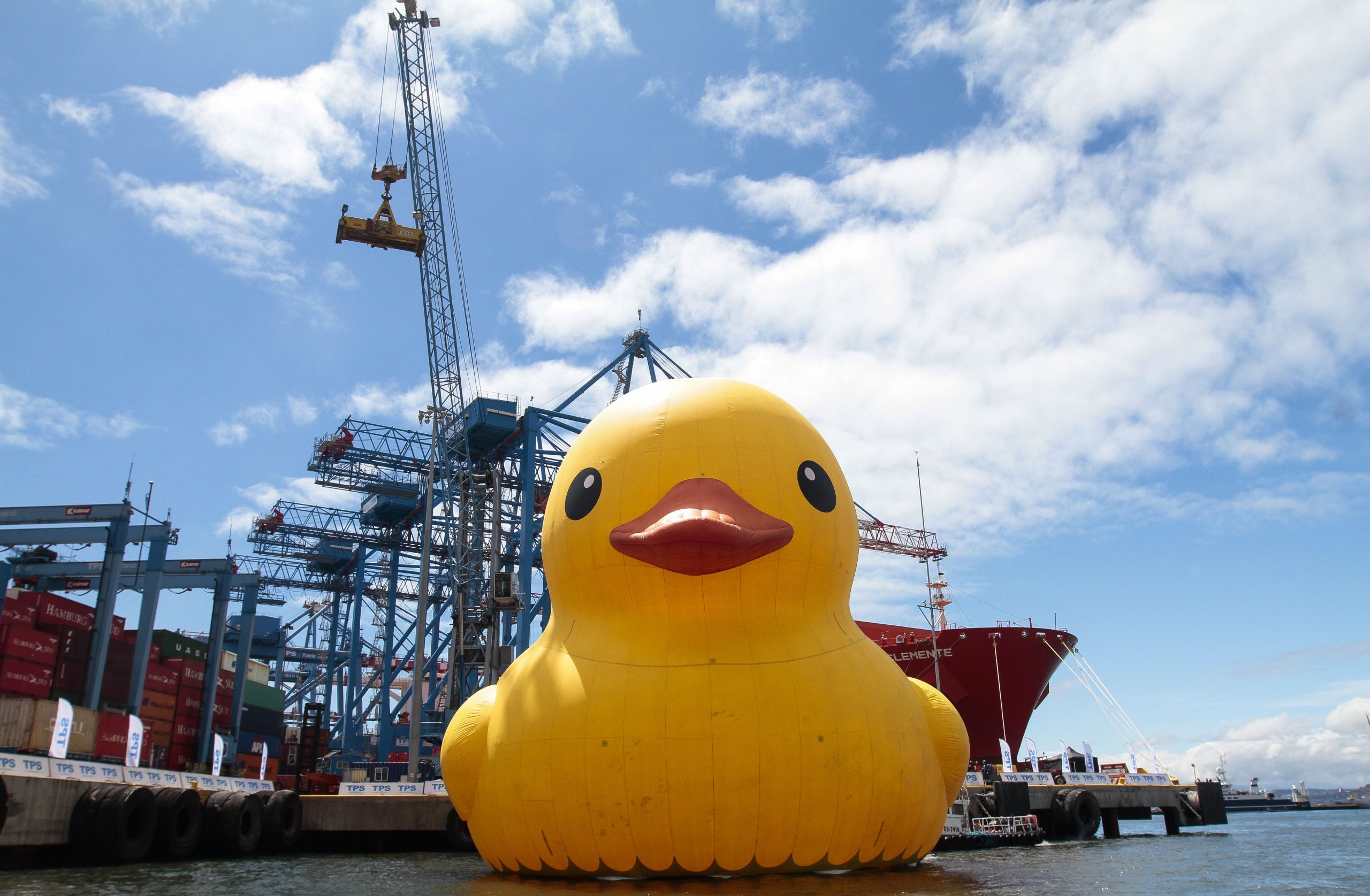 Pato gigante de hule regresa a Chile: ¿Dónde, cuándo y cómo verlo ...
