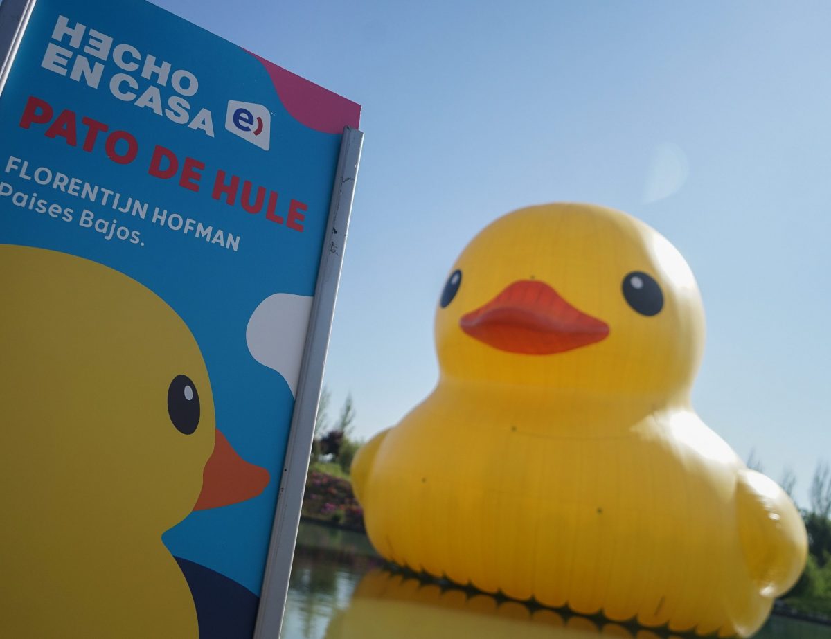 ¿Fue culpa del pato? Los memes que dejó el fuerte temblor — Rock&Pop