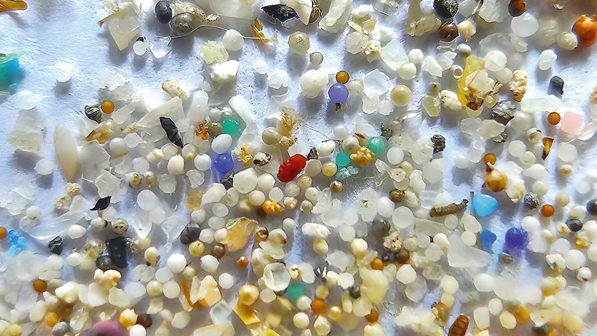 Microplásticos: Qué son y cómo minimizar su impacto — Rock&Pop