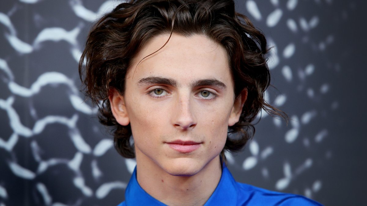 Timotheé Chalamet: Este es el actor que lo hizo dedicarse a la ...