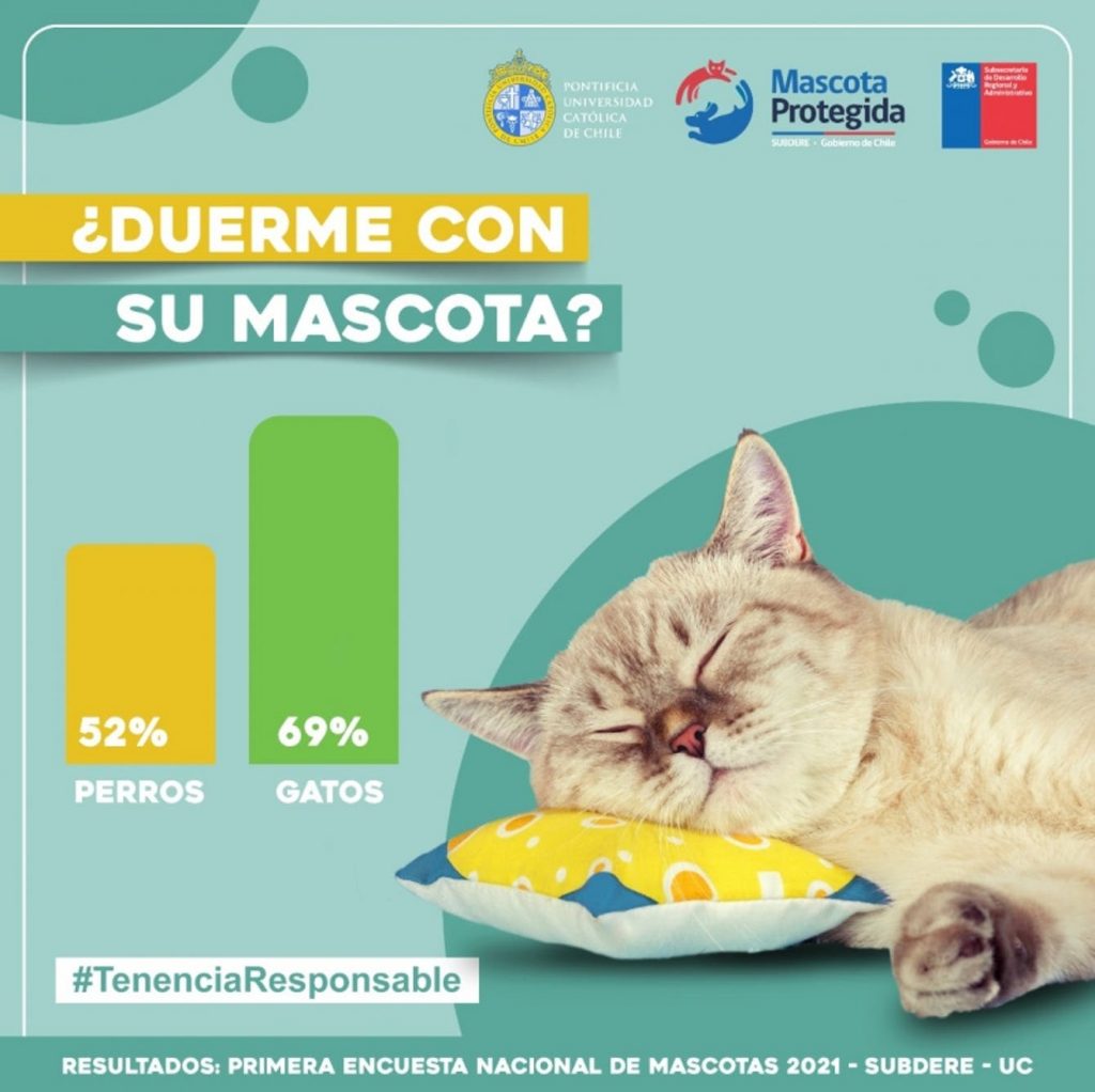 Encuesta de mascotas: El 99,7% dice que el hogar es más feliz por ellos ...