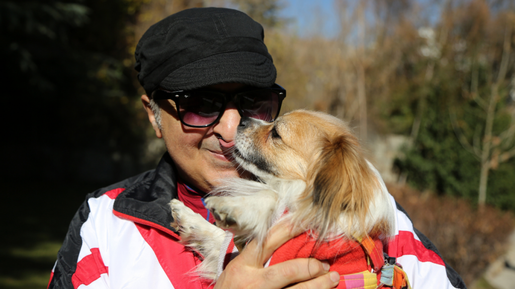 Encuesta de mascotas: El 99,7% dice que el hogar es más feliz por ellos ...