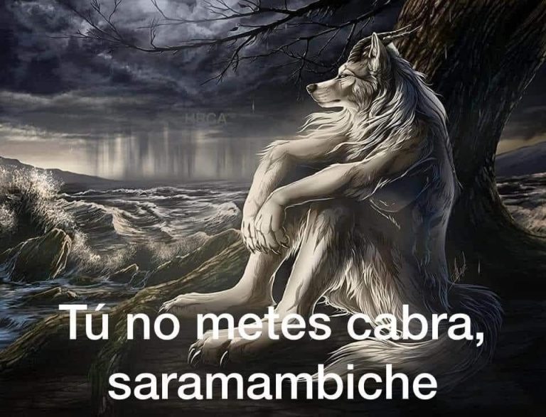 Esta es la razón por la que se han hecho virales los memes sobre lobos ...