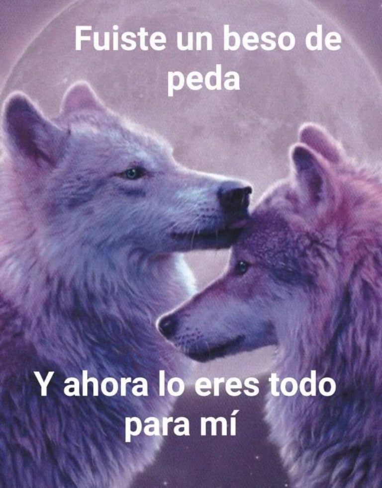 Esta es la razón por la que se han hecho virales los memes sobre lobos ...