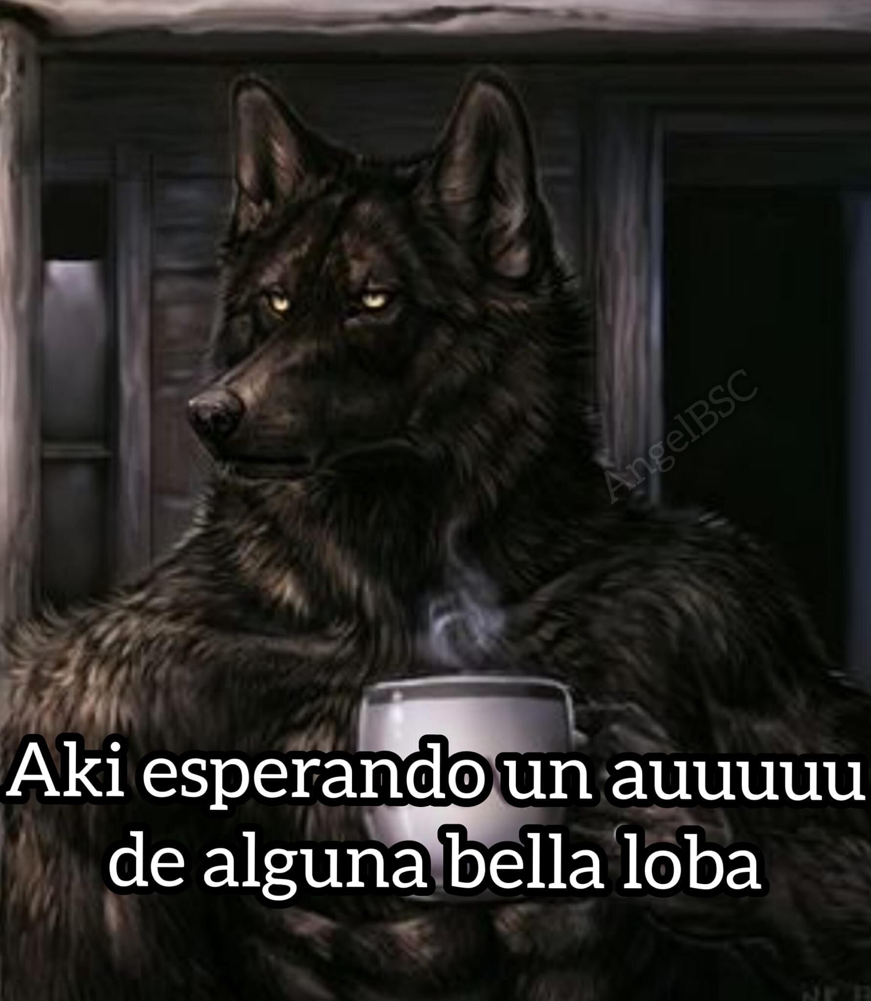 Esta es la razón por la que se han hecho virales los memes sobre lobos ...
