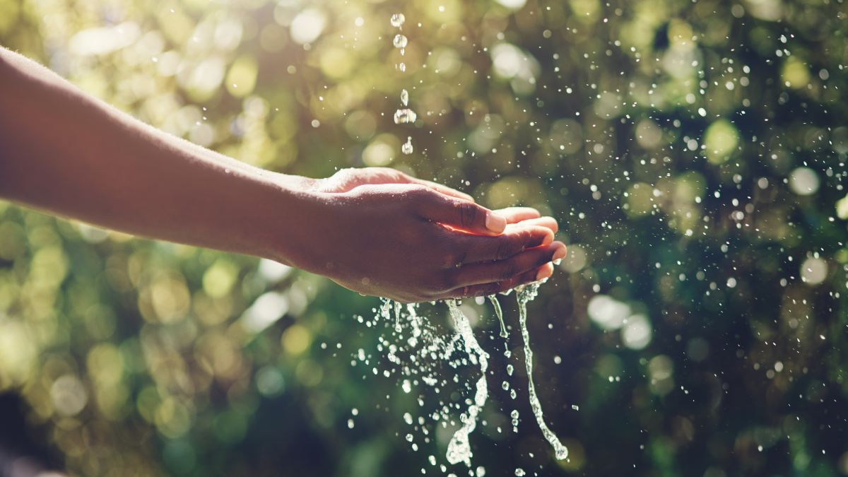 Día del Medio Ambiente: 5 consejos para cuidar el agua en tu hogar ...