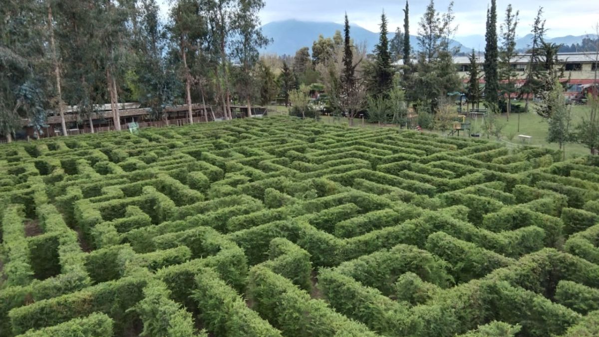Laberinto San Fernando: Así es el laberinto más grande de Chile — Rock&Pop