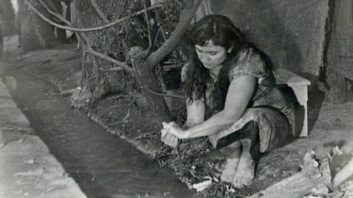 Panoramas del Día de la Música: La Reina celebra a Violeta Parra — Rock&Pop
