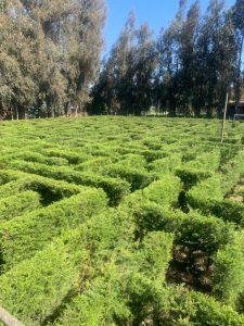 Laberinto San Fernando: Así es el laberinto más grande de Chile — Rock&Pop