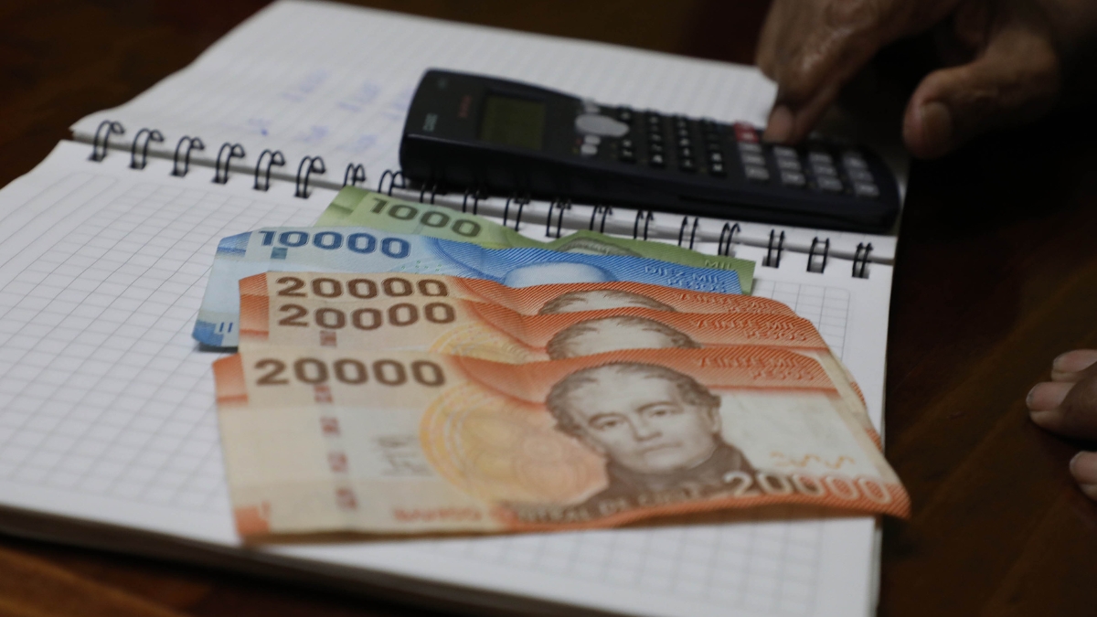 Revisa con tu RUT si tienes bonos o beneficios estatales sin cobrar ...