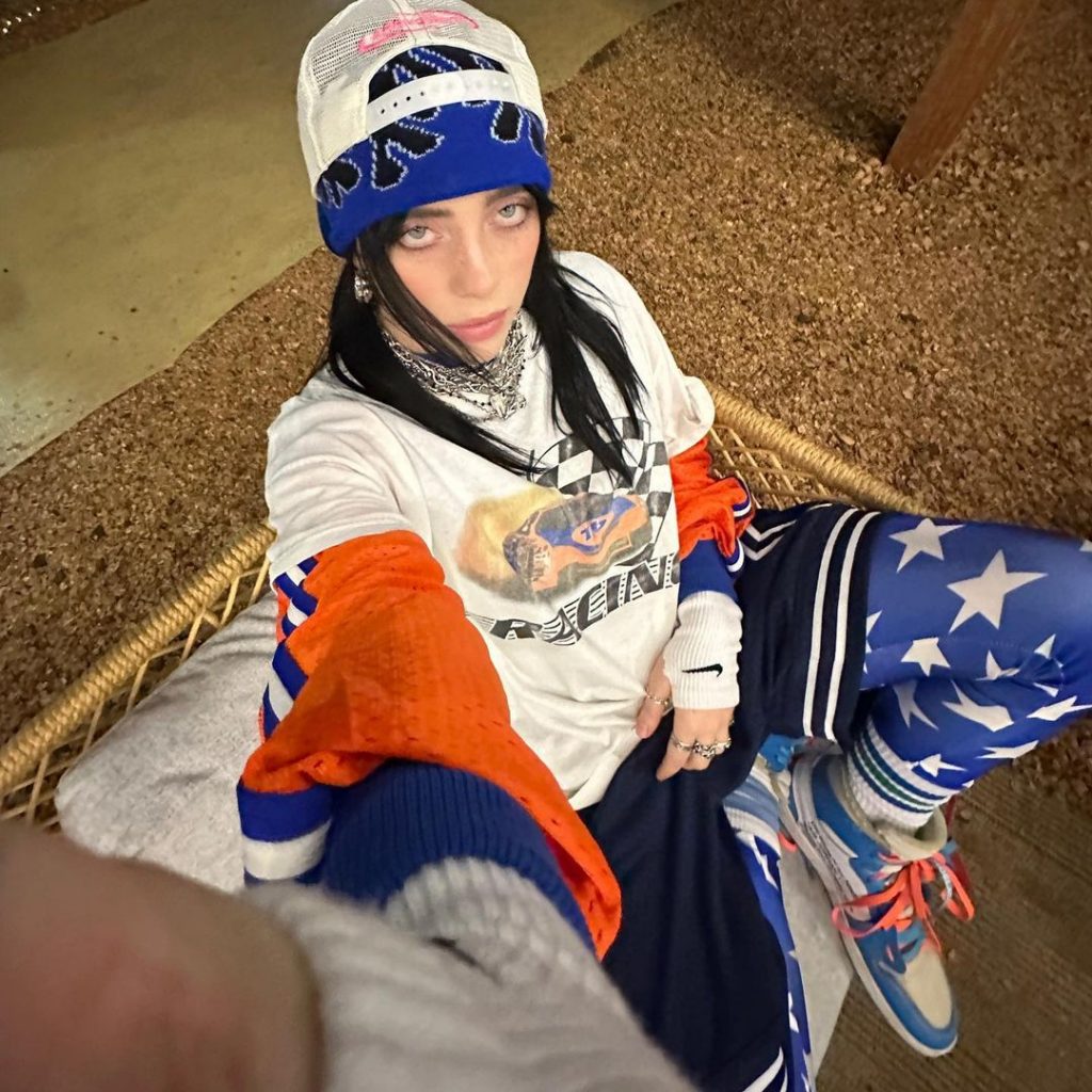 Con diario incluido: Billie Eilish publica fotos de su paso por Chile ...