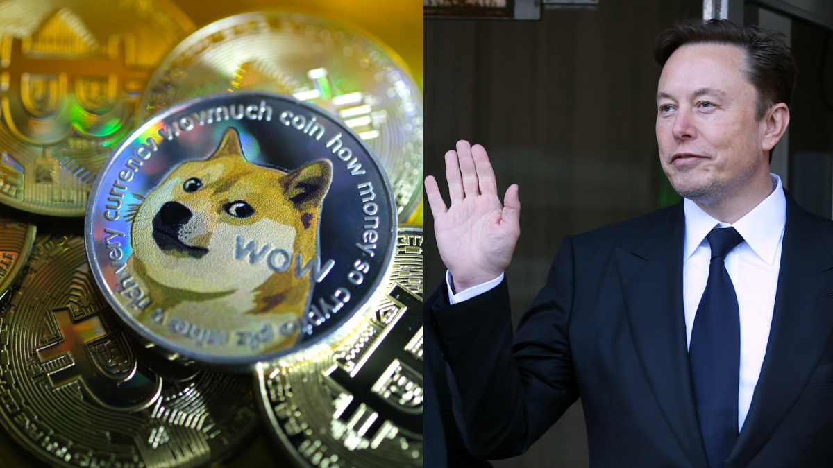 Por qué Elon Musk cambió el logo de Twitter al meme de "Doge" — Rock&Pop