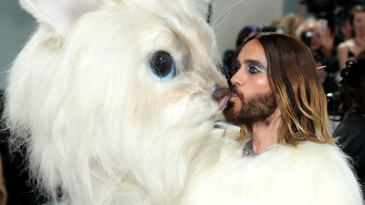 "Quería parecer un gato real": Explican el salvaje look de Jared Leto ...