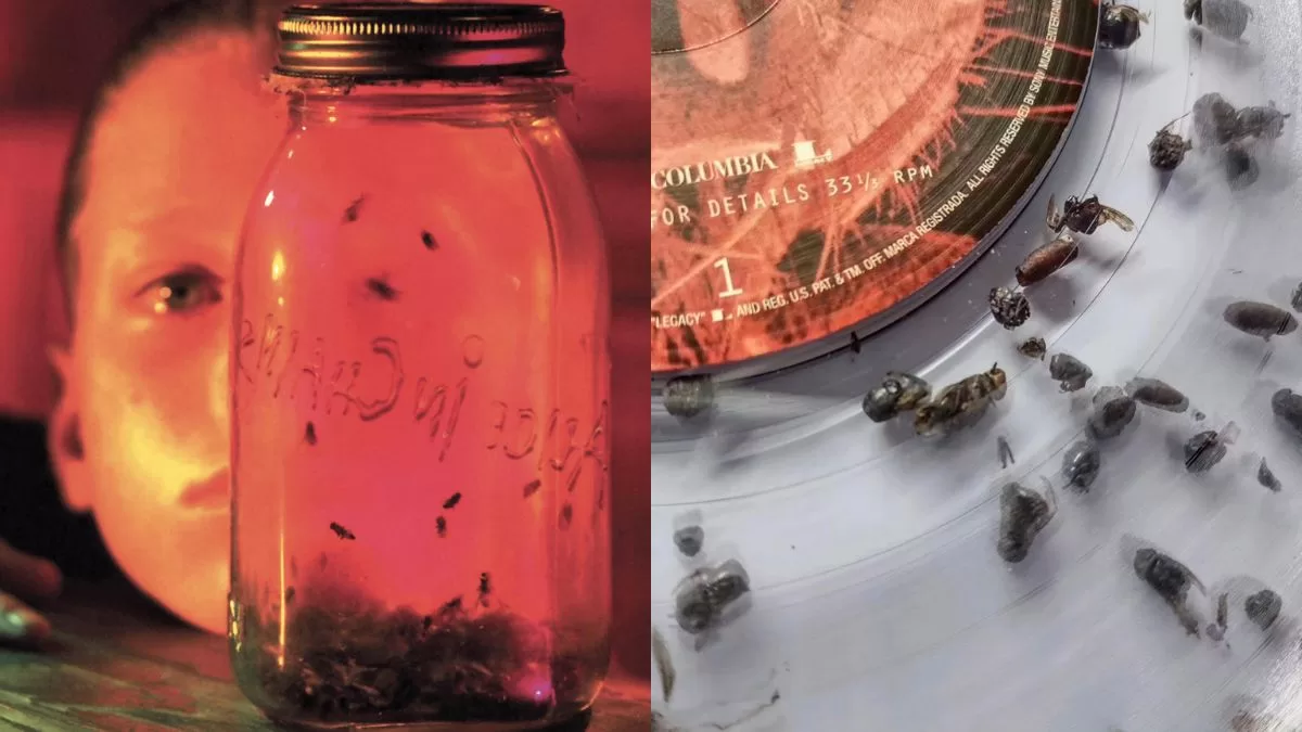 Alice In Chains lanza vinilo especial de 'Jar Of Flies' con moscas ...
