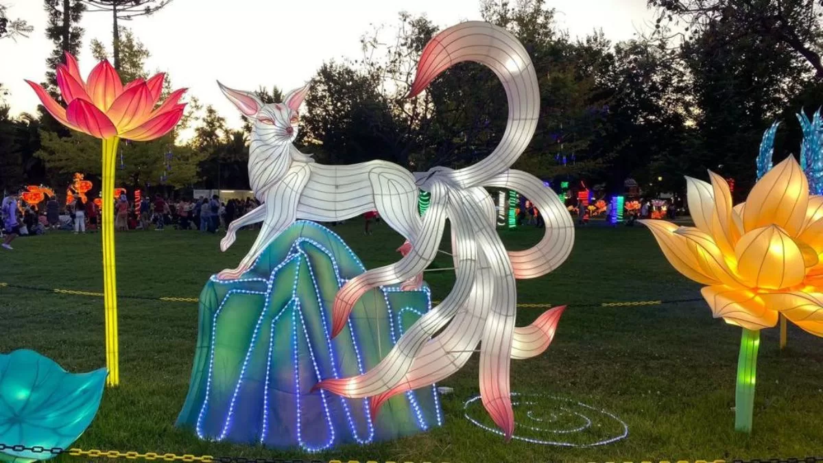 CONCURSO CERRADO: Gana entradas para Fesiluz, el Festival Internacional ...