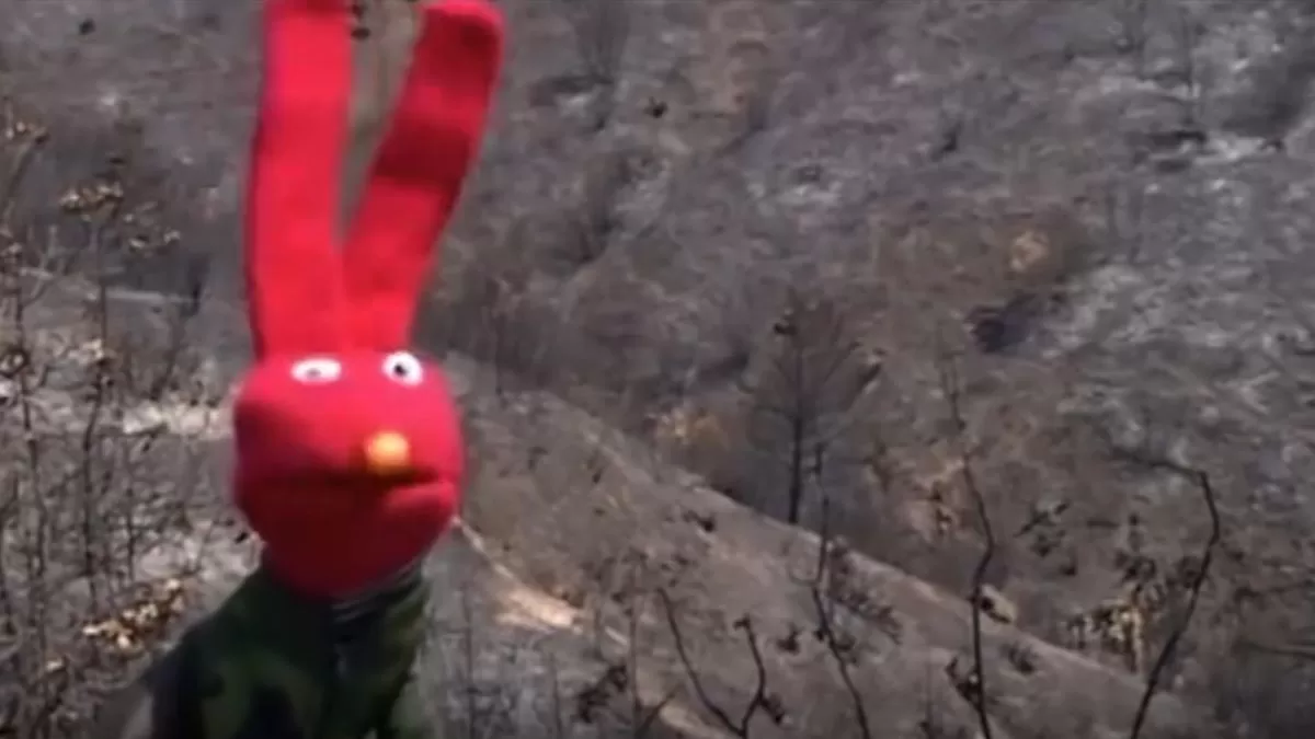 La nota verde de Juan Carlos Bodoque que anticipó el incendio del ...