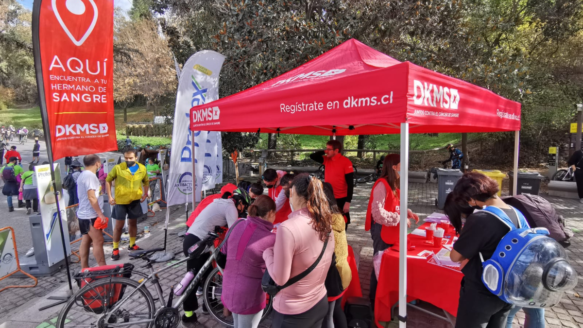 Fundación DKMS busca donantes de Células Madre: ¿Cómo y dónde puedo ...