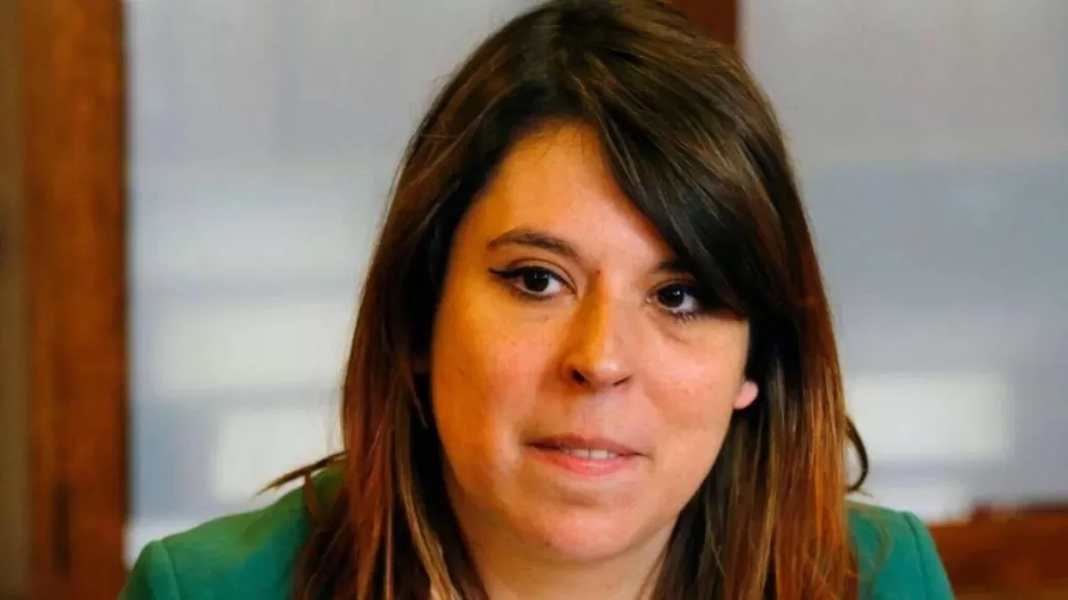 Se confirma renuncia de Constanza Martínez como delegada presidencial ...