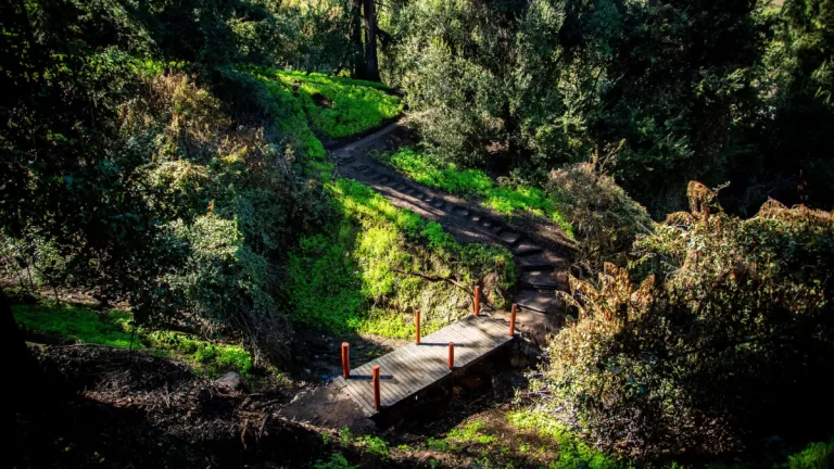 Panorama ideal para los amantes de la naturaleza: El nuevo parque ...